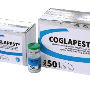 BỘT LĂN MISTRAL - TIENTHANHVET